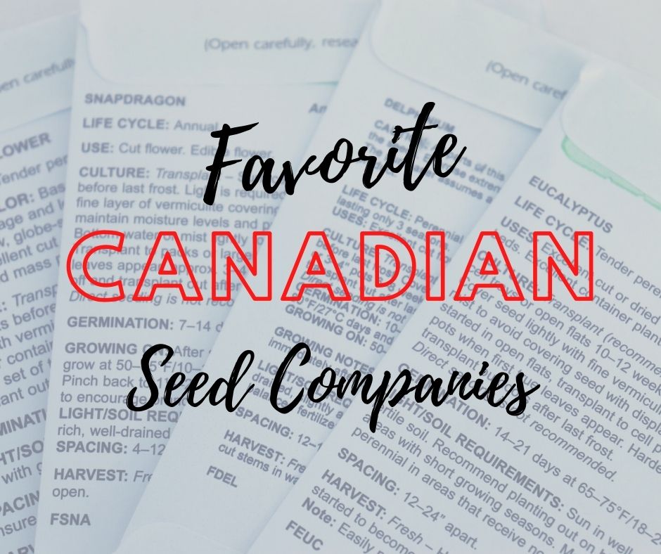 My Favourite Canadian Seed Sources – Maple Park Farm