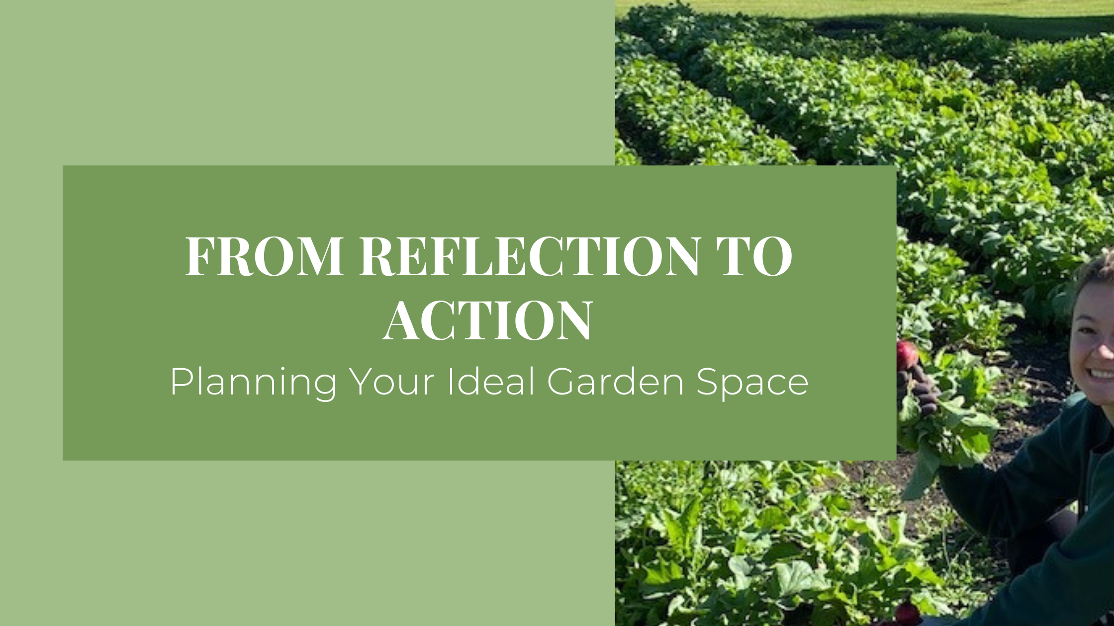 From Reflection to Action: Planning Your Ideal Garden – Maple Park Farm