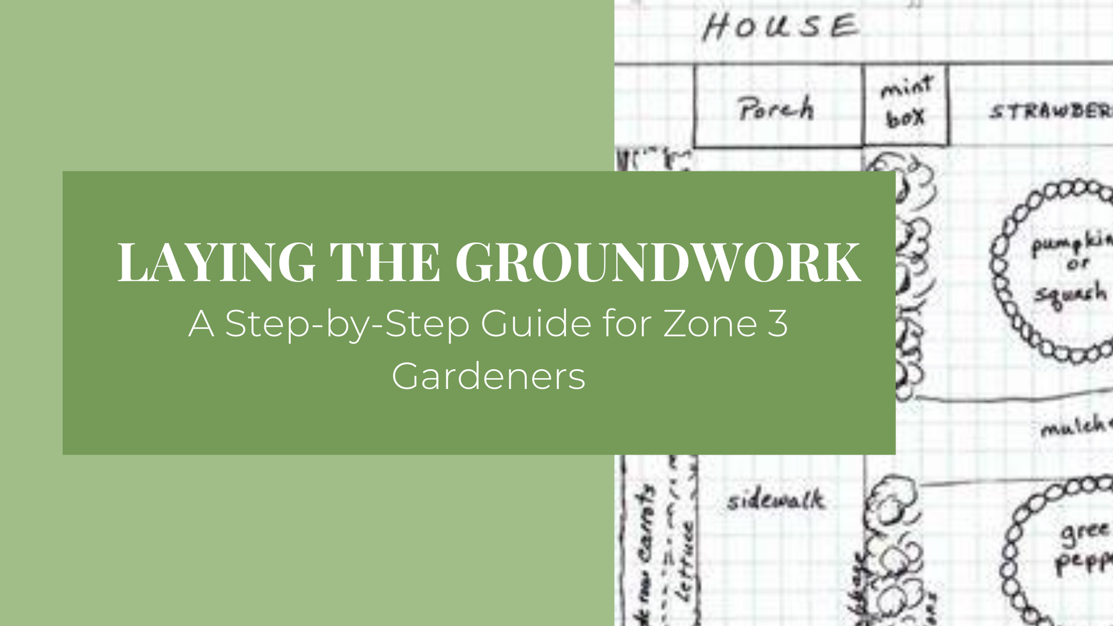 Laying the Groundwork: A Step-by-Step Guide for Zone 3 Gardeners ...