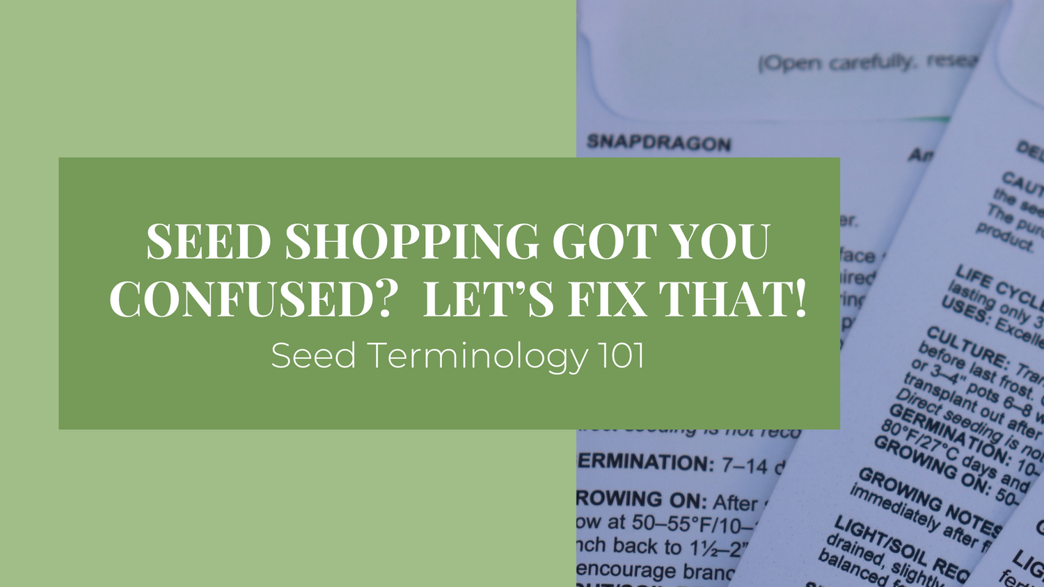 Seed Shopping Got You Confused? Let’s Fix That! Seed Terminology 101 ...