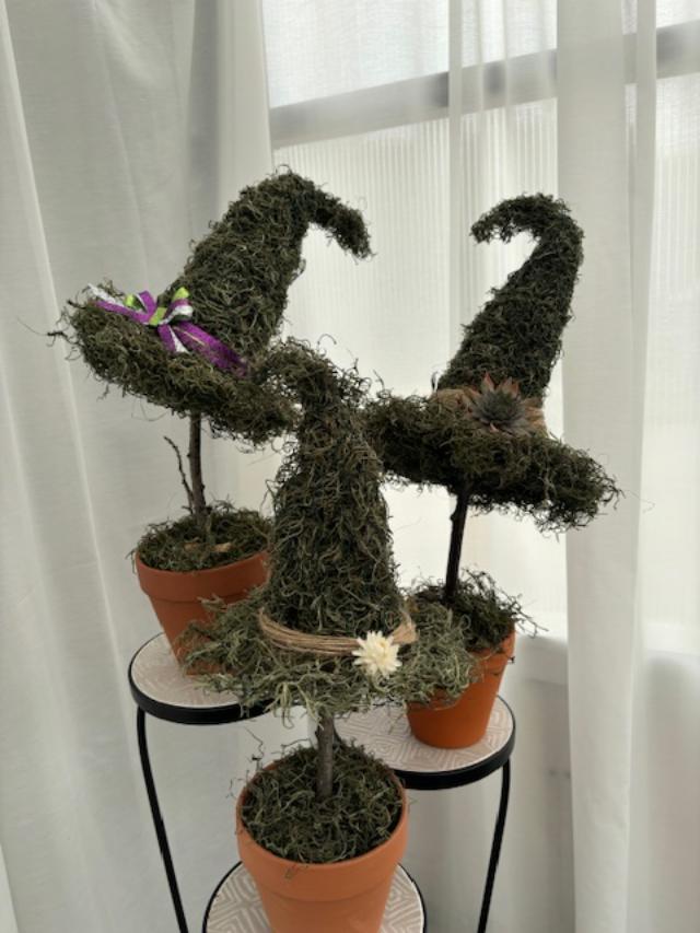 Hocus Pocus Hat – Maple Park Farm